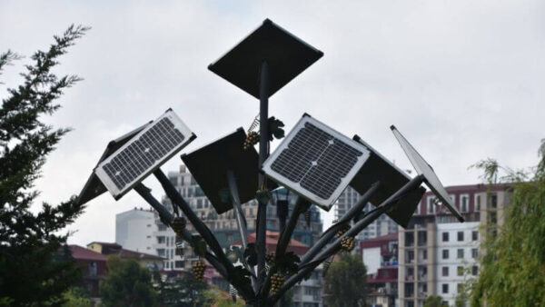 Top Advantages of Solar Trees in 2024: Solar Panel & Energy